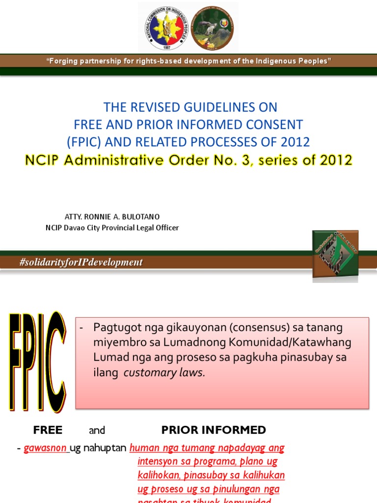 Fpic New Template | PDF | Justice | Crime & Violence
