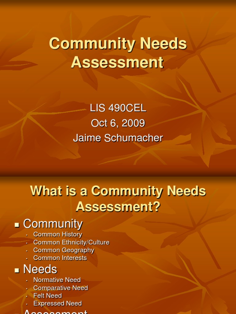 Community Needs Assessment Overview | PDF | Old Age | Data