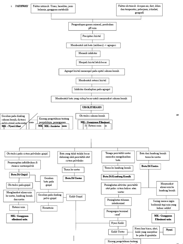 Pathway Colic Renal Hans | PDF