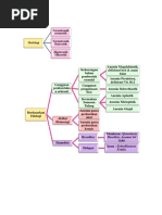 Anemia Normositik Normokrom | PDF