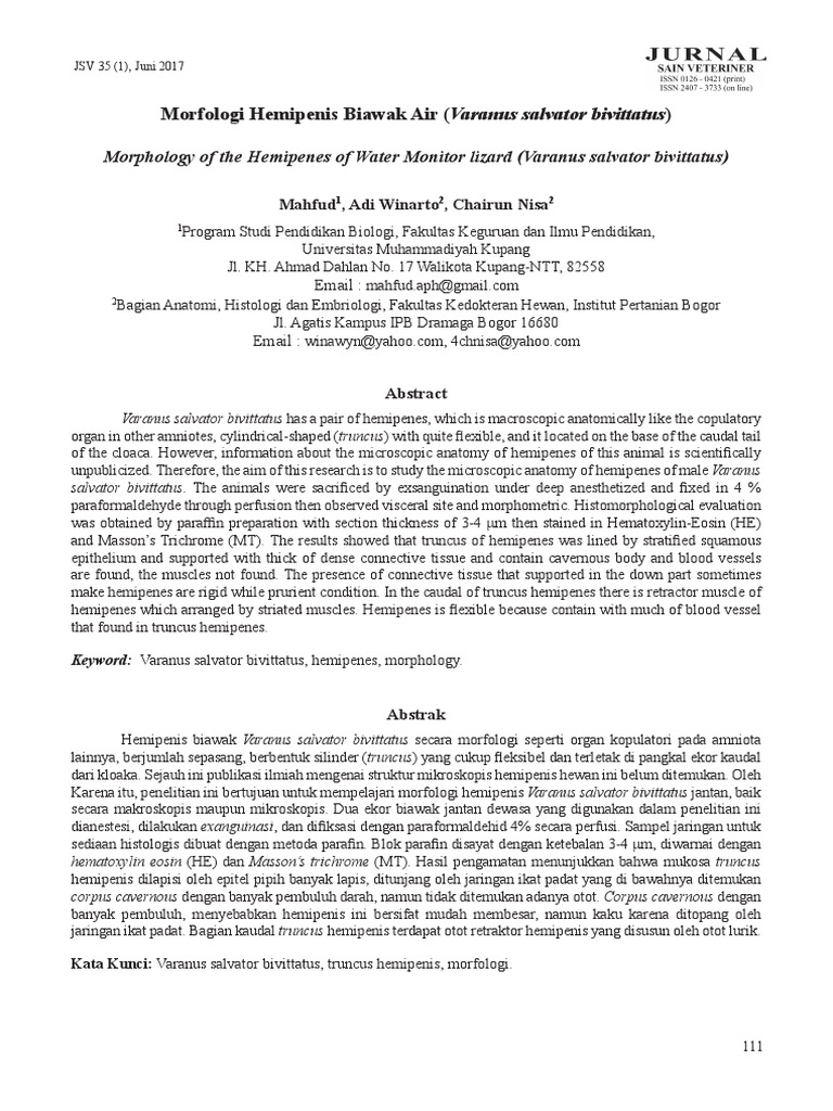 Microscopic Anatomy of the Hemipenes of the Water Monitor Lizard ...