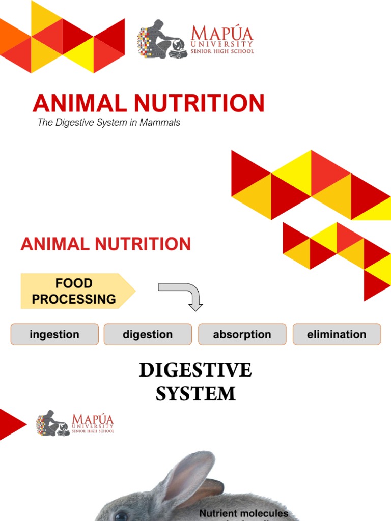 CO5-1 Animal Nutrition | PDF | Animal Nutrition | Digestion