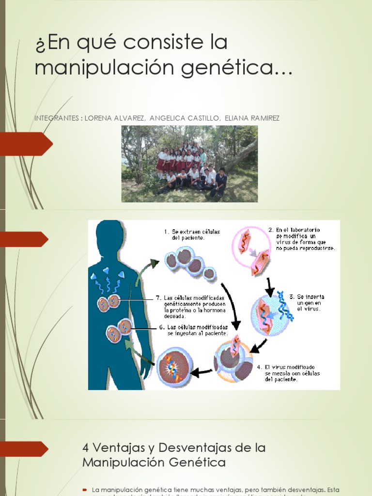 En Qué Consiste La Manipulación Genética | PDF | Ingeniería genética | Adn