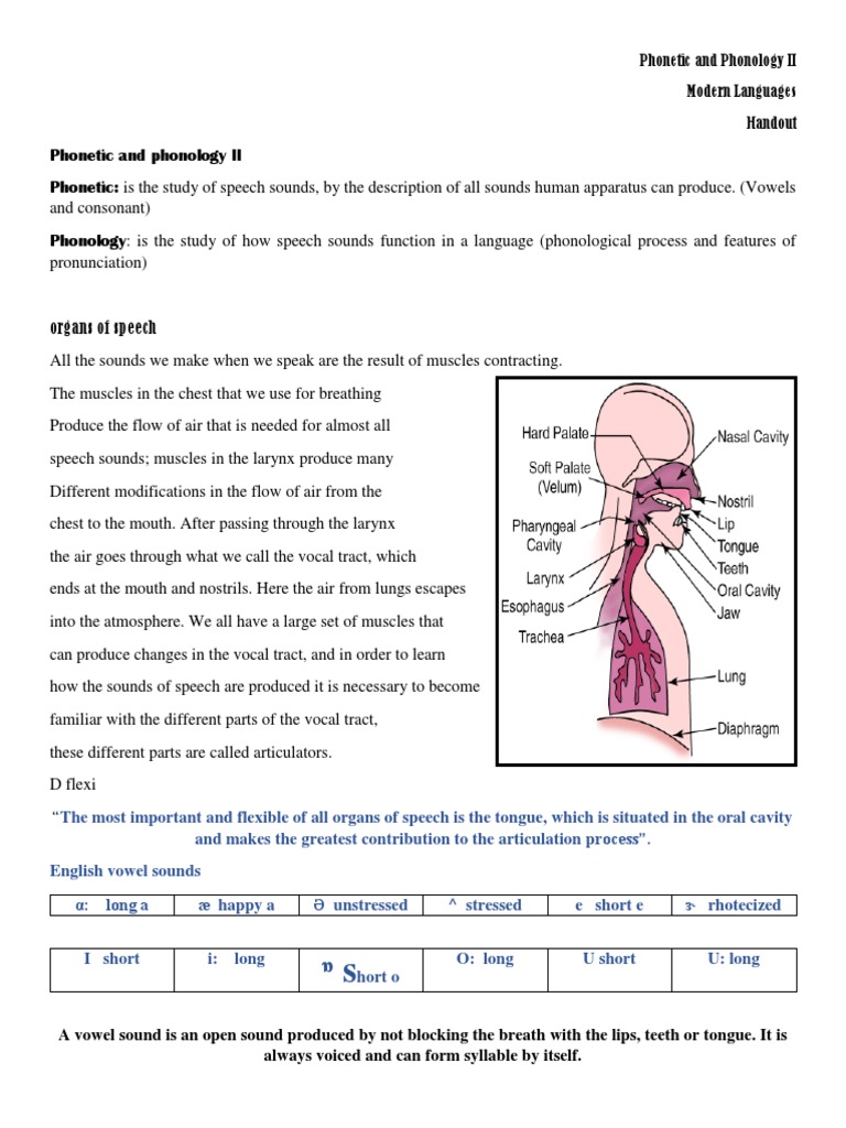 Phonetic and Phonology II HANDOUT | PDF | Stress (Linguistics) | Phonetics