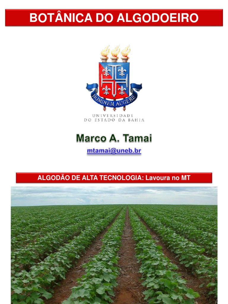 Botânica do Algodoeiro: Classificação e Morfologia | PDF | Algodão | Raiz