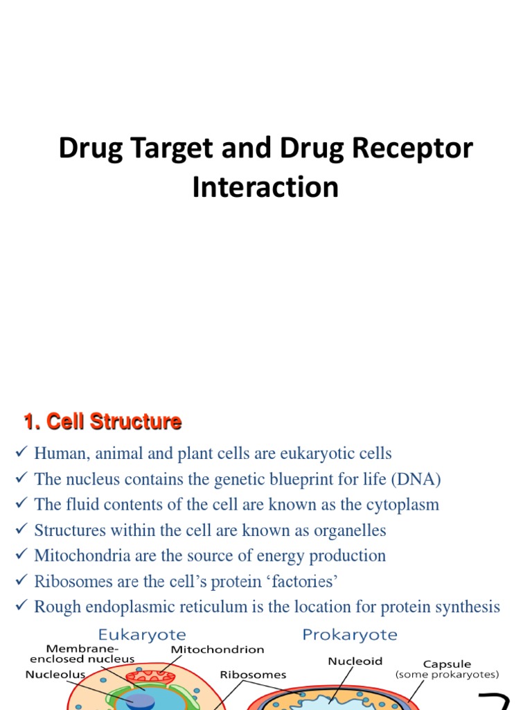 Drug Receptor Interactions Explained | PDF | Intermolecular Force ...