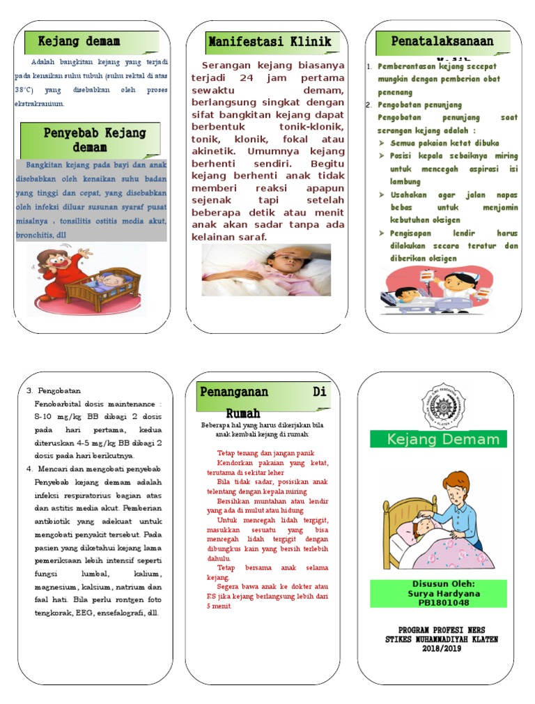Leaflet Kejang Demam | PDF