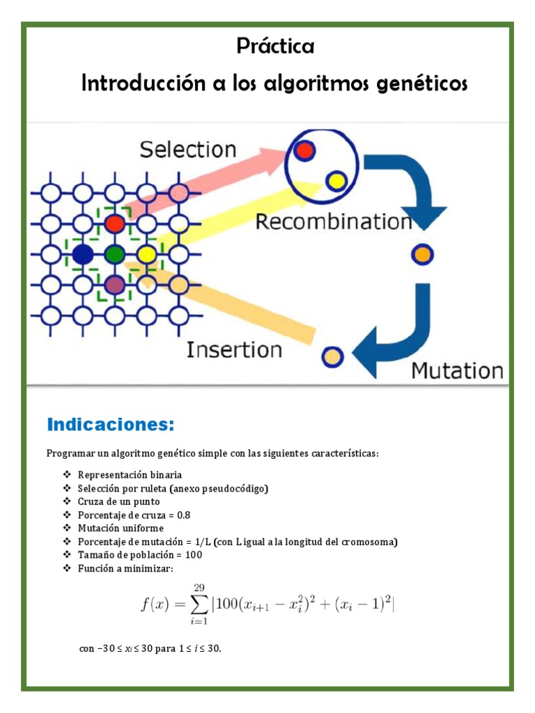 Práctica Geneticos 1 | PDF | Algoritmo genético | Algoritmos