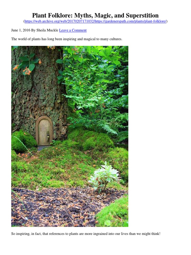 Plant Folklore-Myths, Magic, and Superstition | PDF | Oak | Fennel