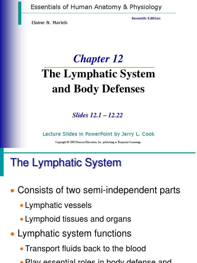 [ANATOMY] CHAPTER 12 — LYMPHATIC SYSTEM.ppt | Lymphatic System | Lymph Node