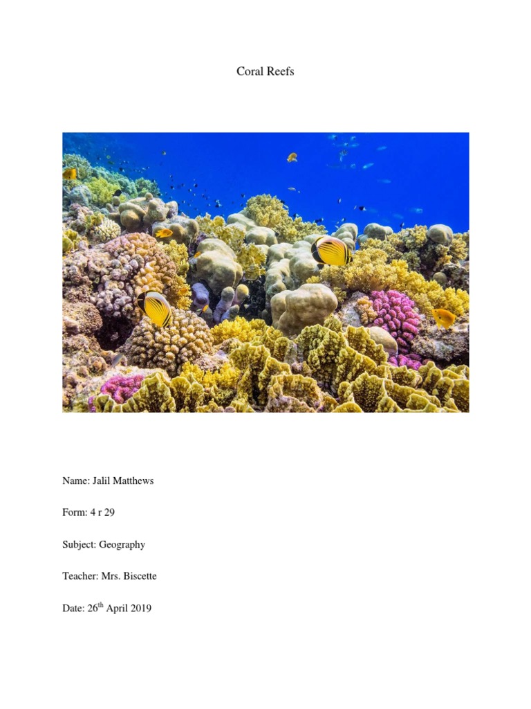 Coral Reefs | PDF | Coral Reef | Sea