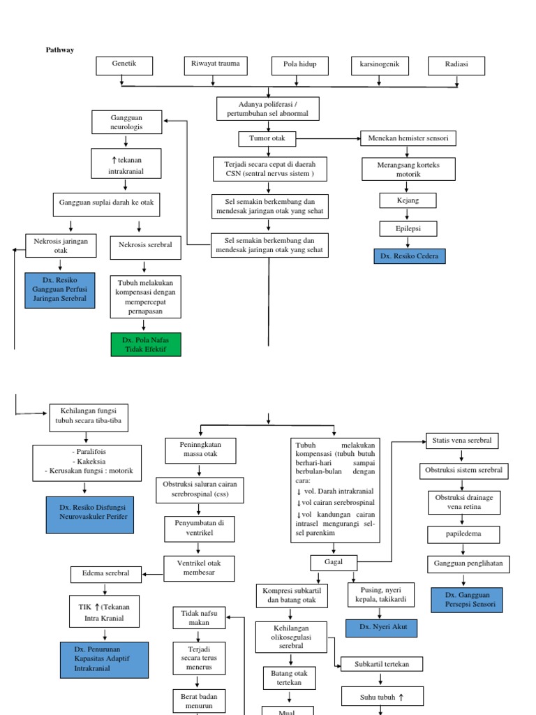 Pathway Tumor Otak | PDF