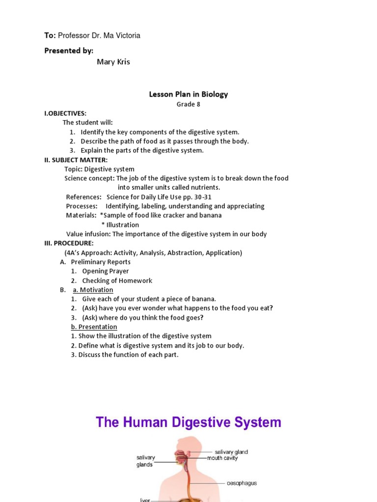 Detailed Lesson Plan Digestive System | Download Free PDF ...
