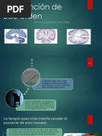 Modelo Casic | PDF | Conceptos psicologicos | Sicología