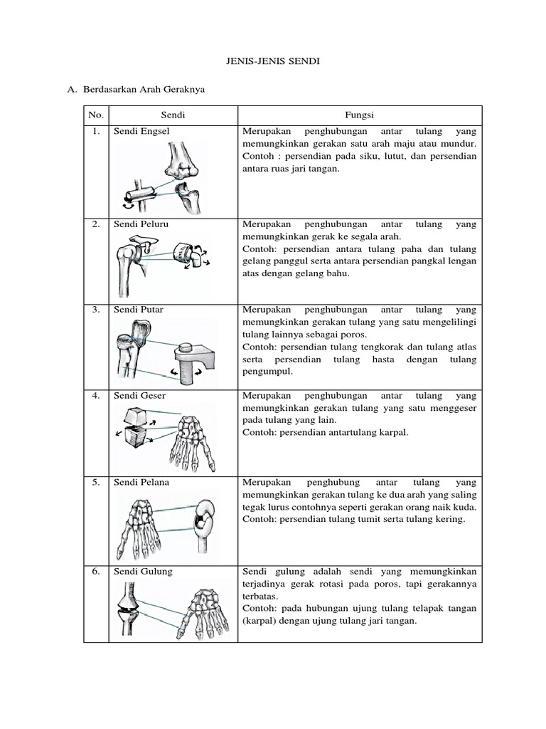 Jenis Sendi | PDF
