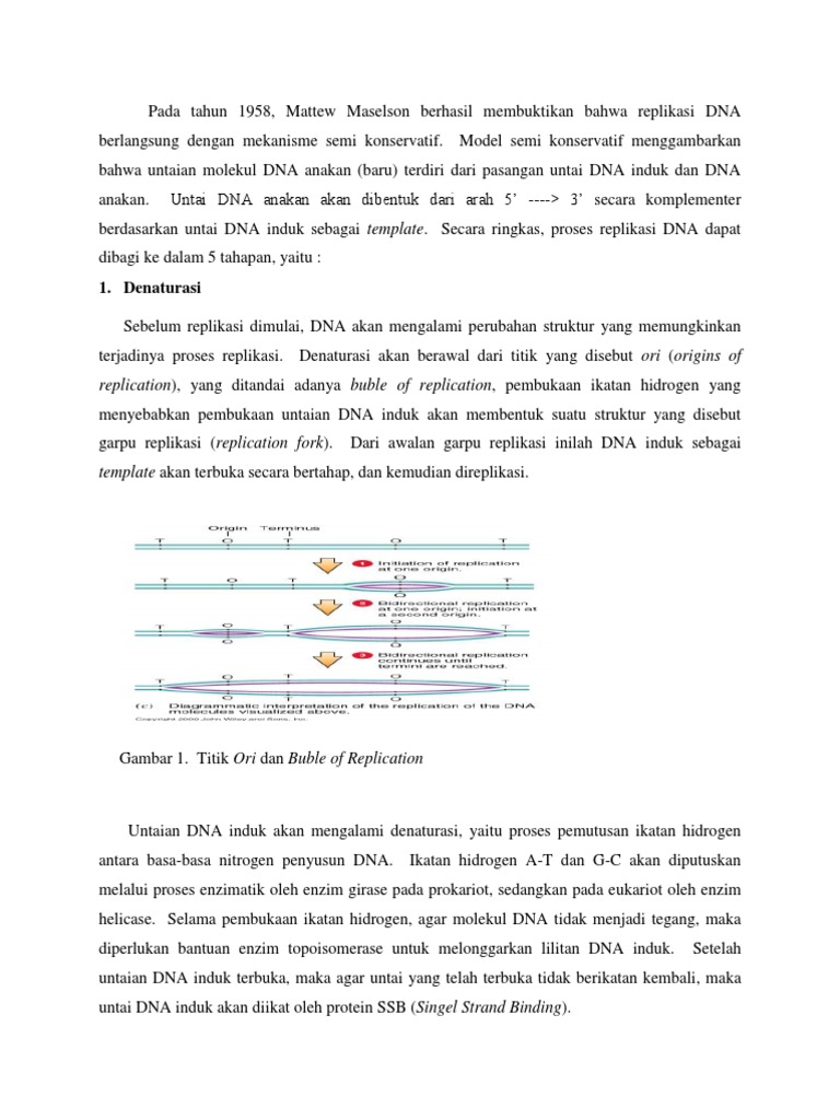Mekanisme Replikasi Dna | PDF