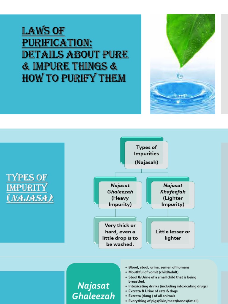Types of Najasa | PDF | Sheep | Feces