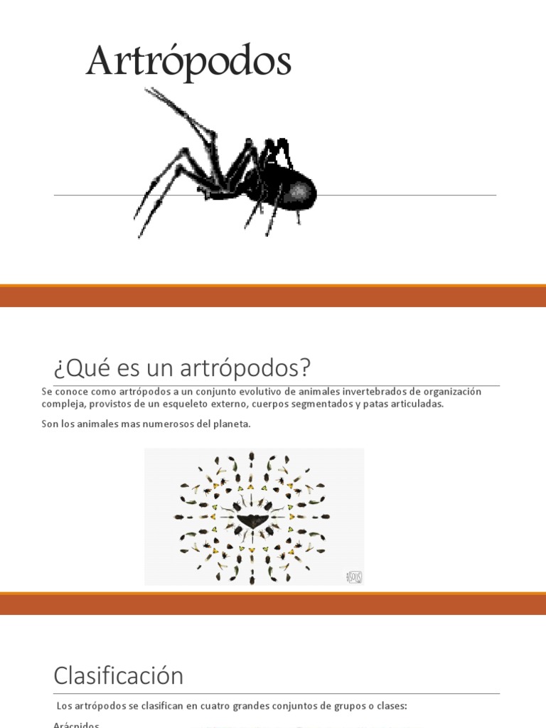 Artr - Podos - PPTX Filename UTF-8''Artrópodos | PDF | Ciencia y ...
