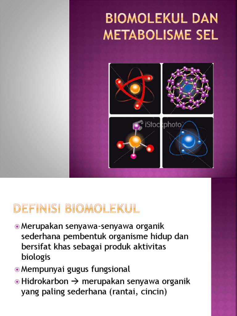 Biomolekul Dan Metabolisme Sel | PDF