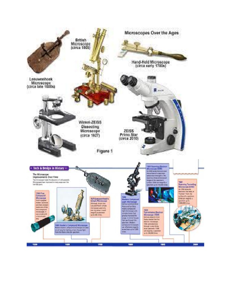 Microscope Timeline | PDF