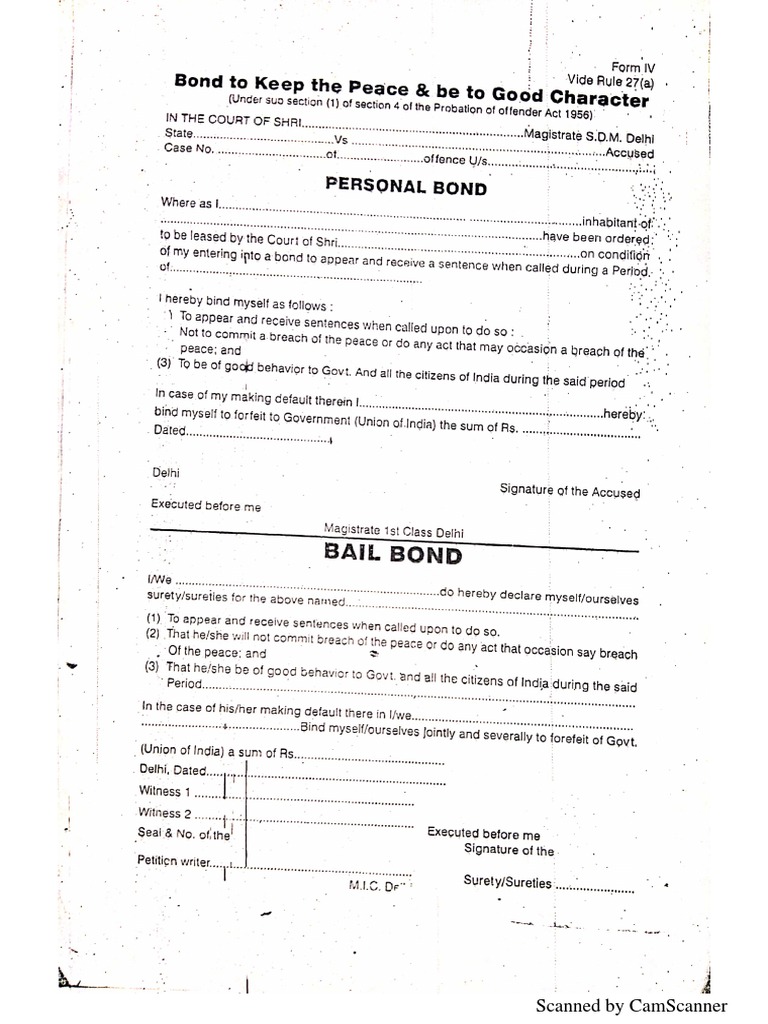 Probation Bail Bond | PDF