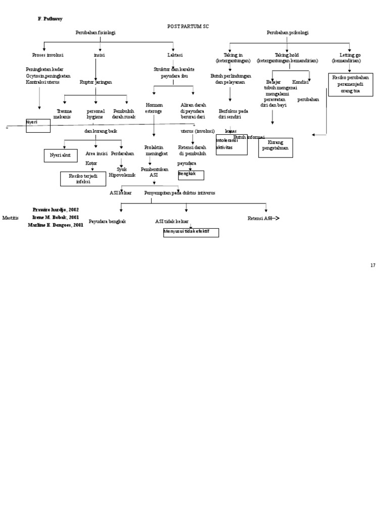 Pathway Perawatan Post Partum SC | PDF