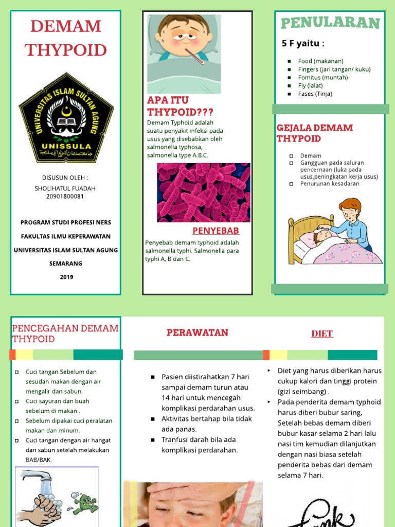 Thypoid Leaflet | PDF