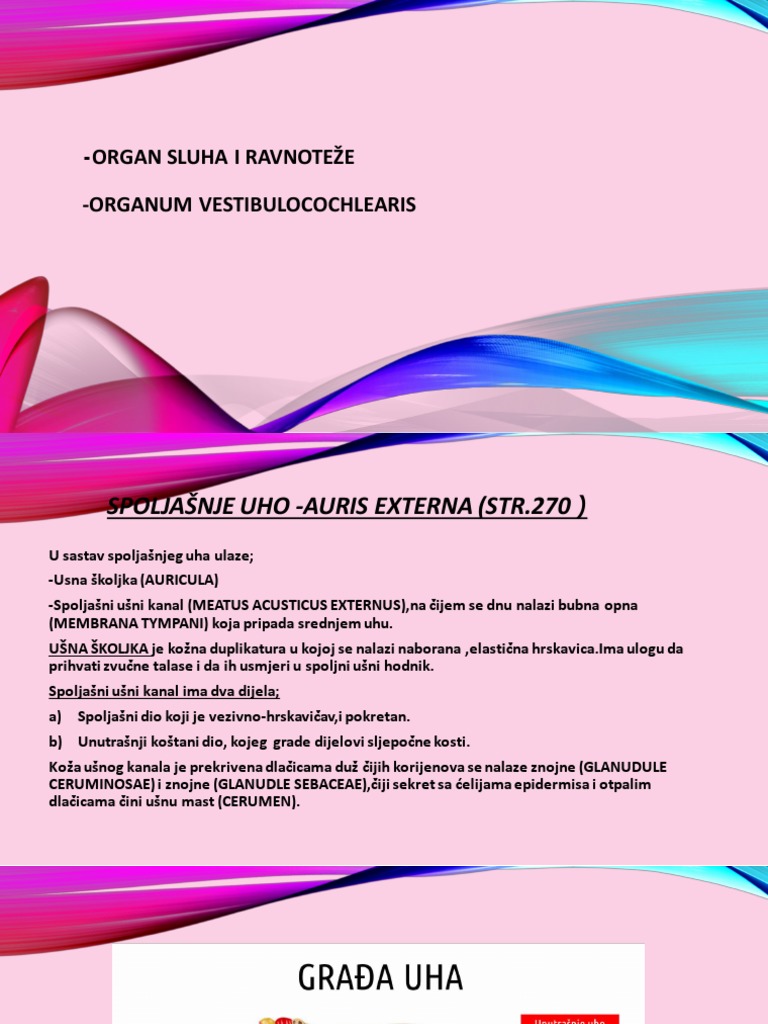 P5 L2 U Organ Sluha I Ravnoteže (1) - 1485007118 | PDF