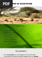 Interact and Interdependence | PDF | Grassland | Ecology