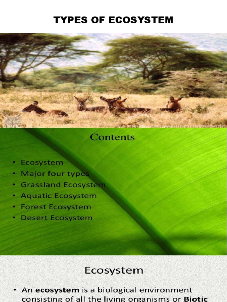 3) Types of Ecosystem - Sept23 | PDF | Desert | Grassland