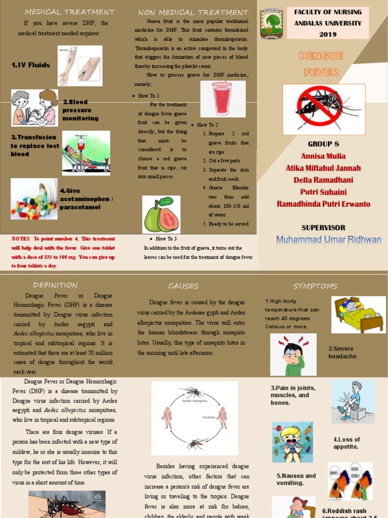 Leaflet DHF | PDF | Microbiology | Diseases And Disorders