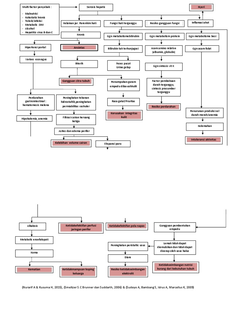 Pathways Serosis Hepatis | PDF