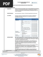 Plantilla Ejemplo Bia | PDF | Apoyo | Tecnología de información y ...