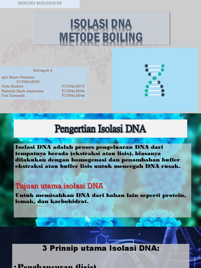 Isolasi DNA Metode Boiling Kel.4 | PDF | Memasak, Makanan, & Anggur ...