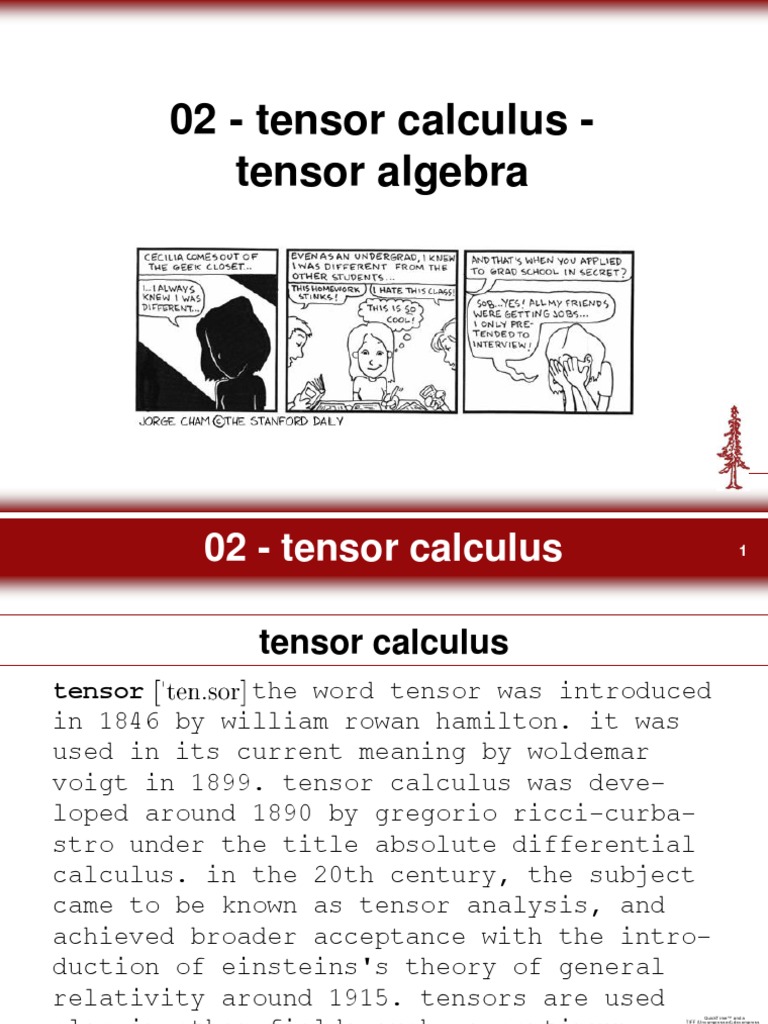 Tensor 3 | PDF | Tensor | Vector Space