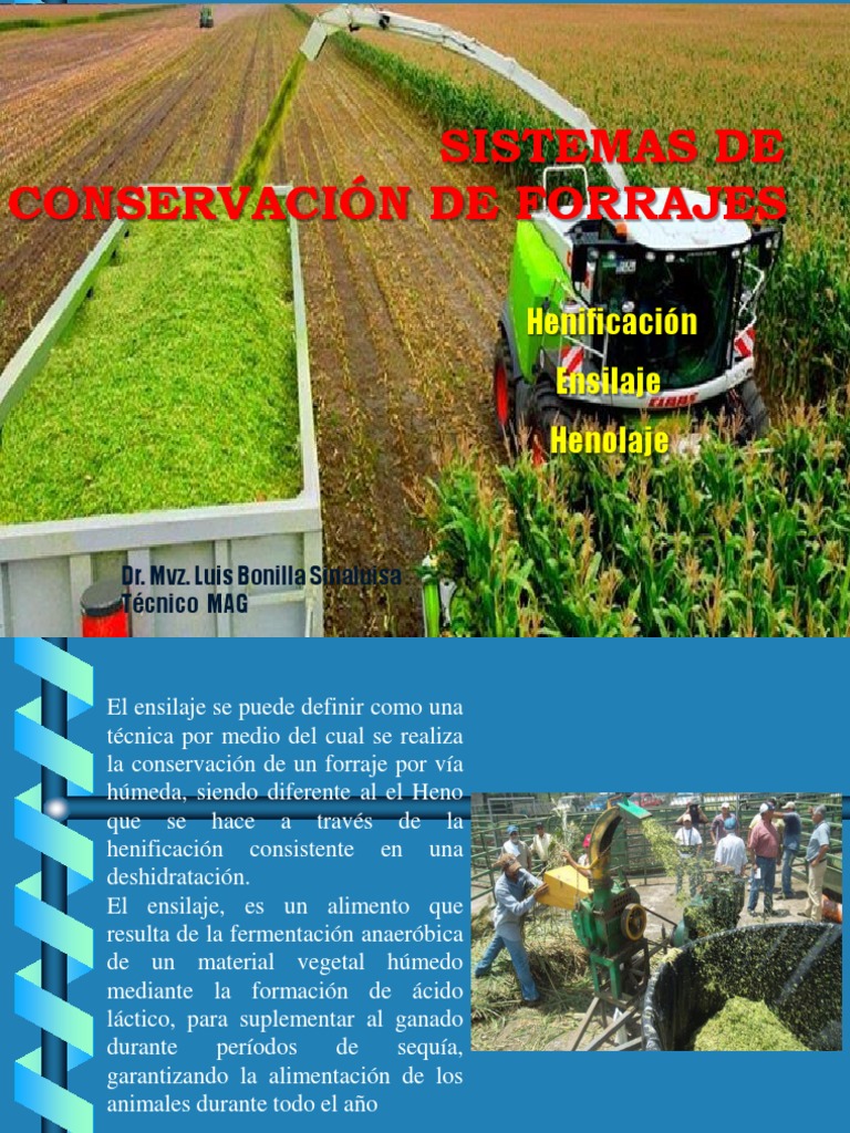 Conservacion de Forrajes | PDF | Fermentación | Química
