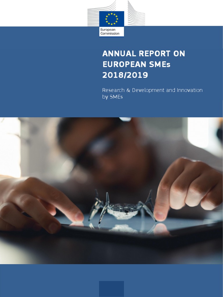 SME Annual Report 2018-2019 | PDF | Small And Medium Sized Enterprises ...