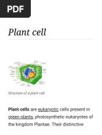 Eukaryotic Cells - Plant, Algal & Fungal Cells Revision Notes - A-Level ...