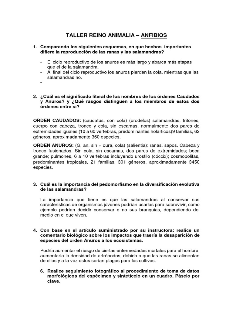 Taller Anfibios | PDF | Rana | Anfibio