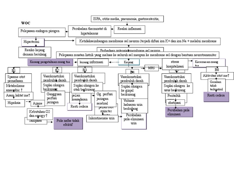 Woc Kejang Demam | PDF