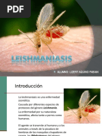 Prueba de Montenegro en Leishmaniasis | PDF | Sistema inmune ...