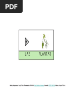 Bingo de Plantas para Niños | PDF