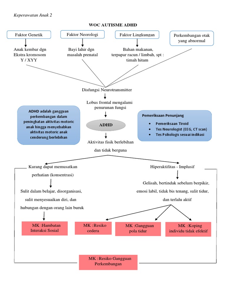 Mapping ADHD | PDF