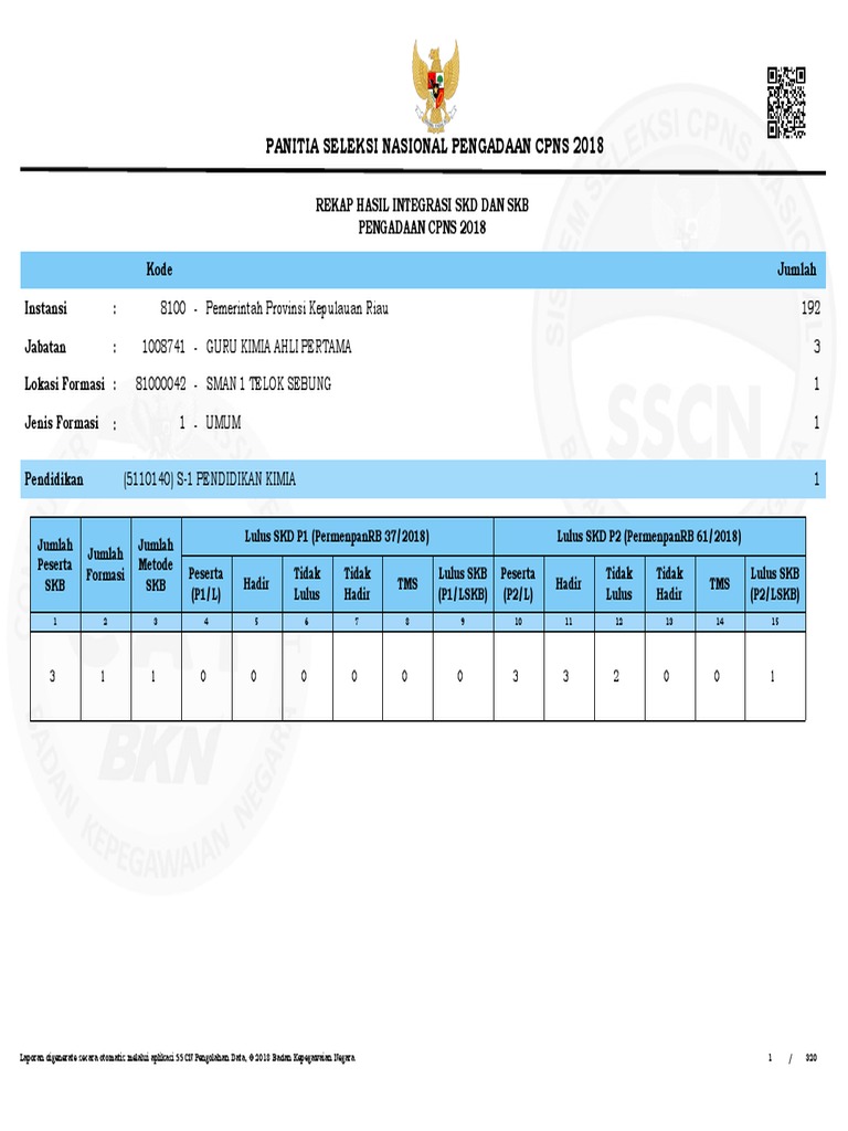 Rekap Hasil Integrasi SKD Dan SKB Versi Ringkas Panselnas | PDF
