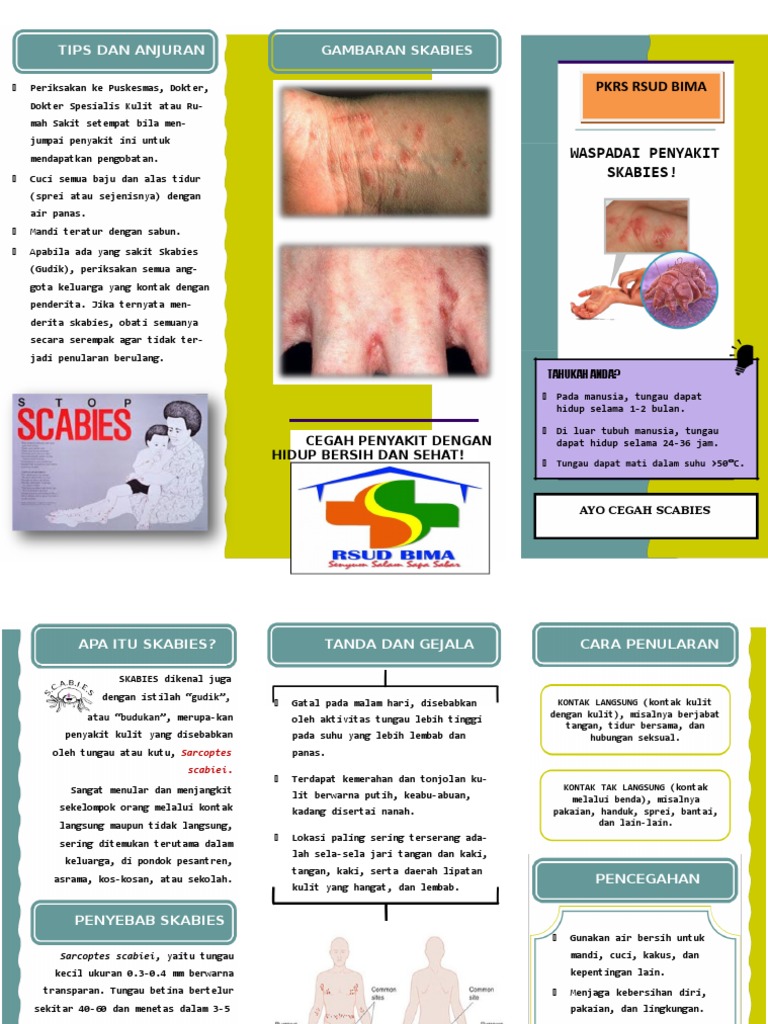 Leaflet Scabies | PDF