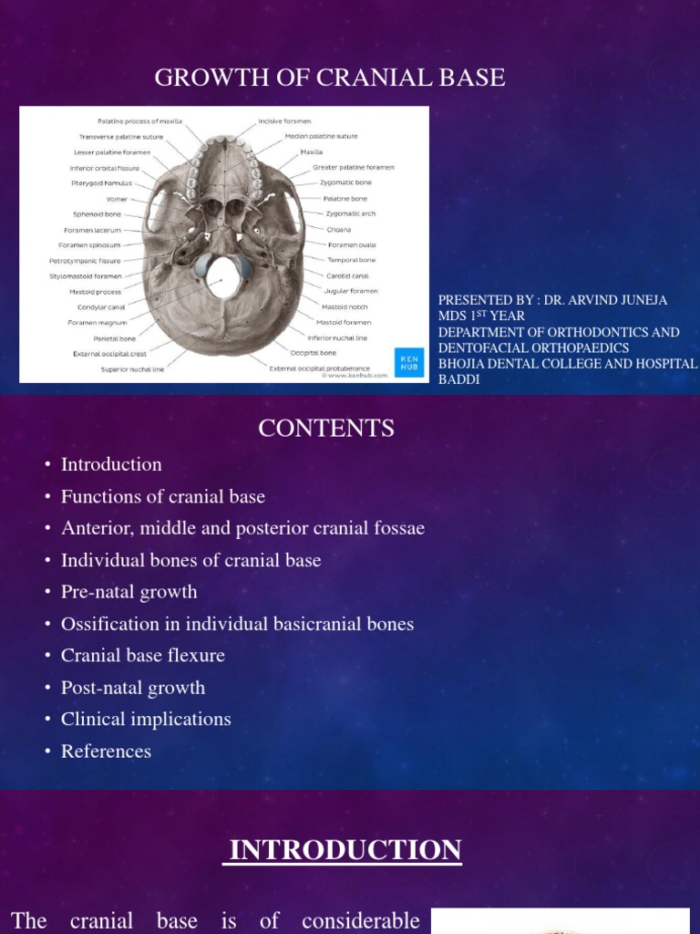 Cranial Base Growth | PDF | Skull | Anatomy