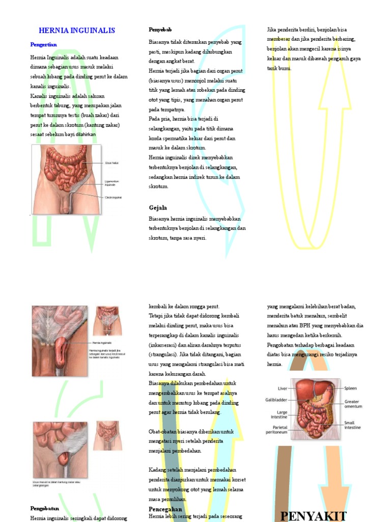Leaflet Hernia | PDF