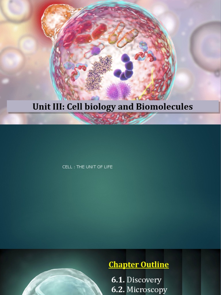 Cell Biology | PDF | Endoplasmic Reticulum | Cell Membrane