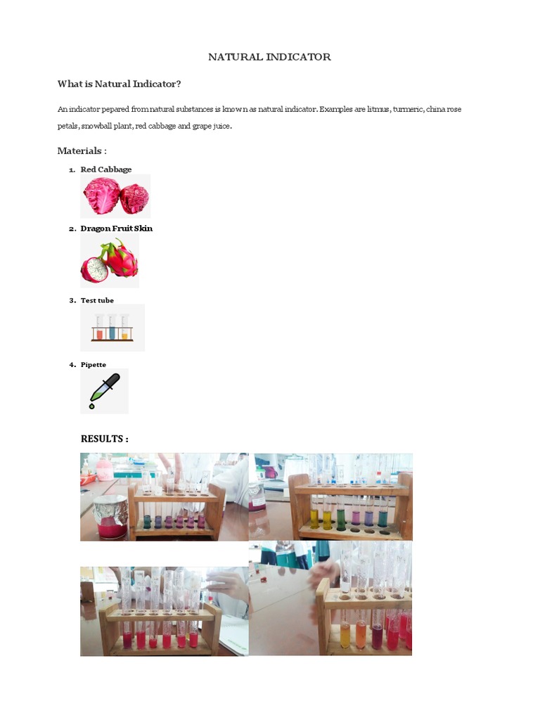 Natural Indicator | PDF