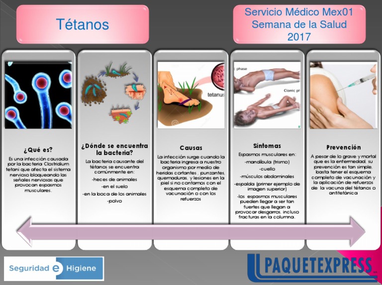 Infografía tétanos.pptx | Microbiología | Rtt